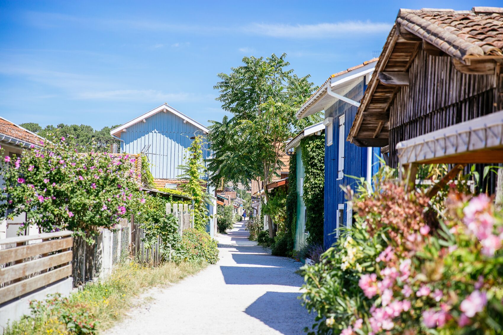 Le Canon - Lège-Cap Ferret
